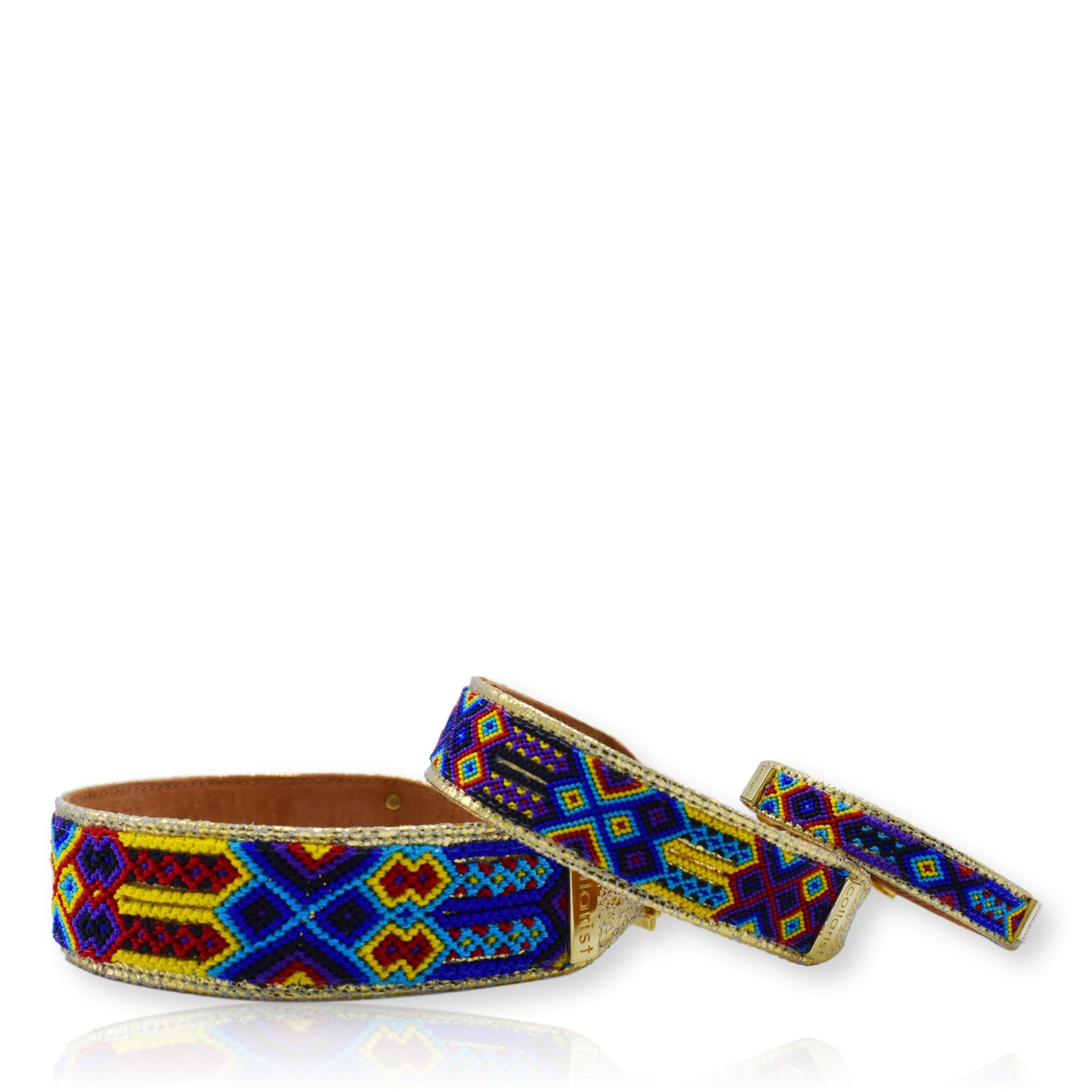 Fiercely Loyal- Luxury Leather Dog Collar | Pet Fashion | Collarist